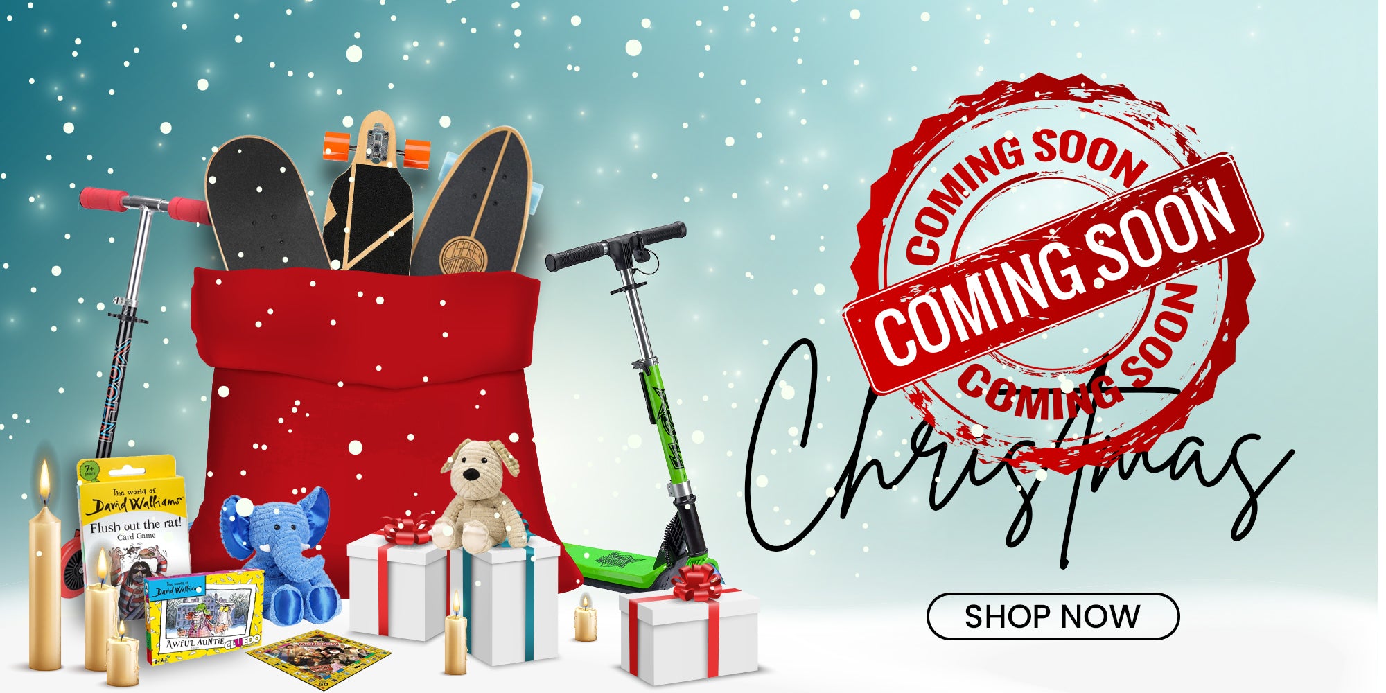 Rich Kids Playground | Toys & Games | Free Delivery | Fun Toys For All